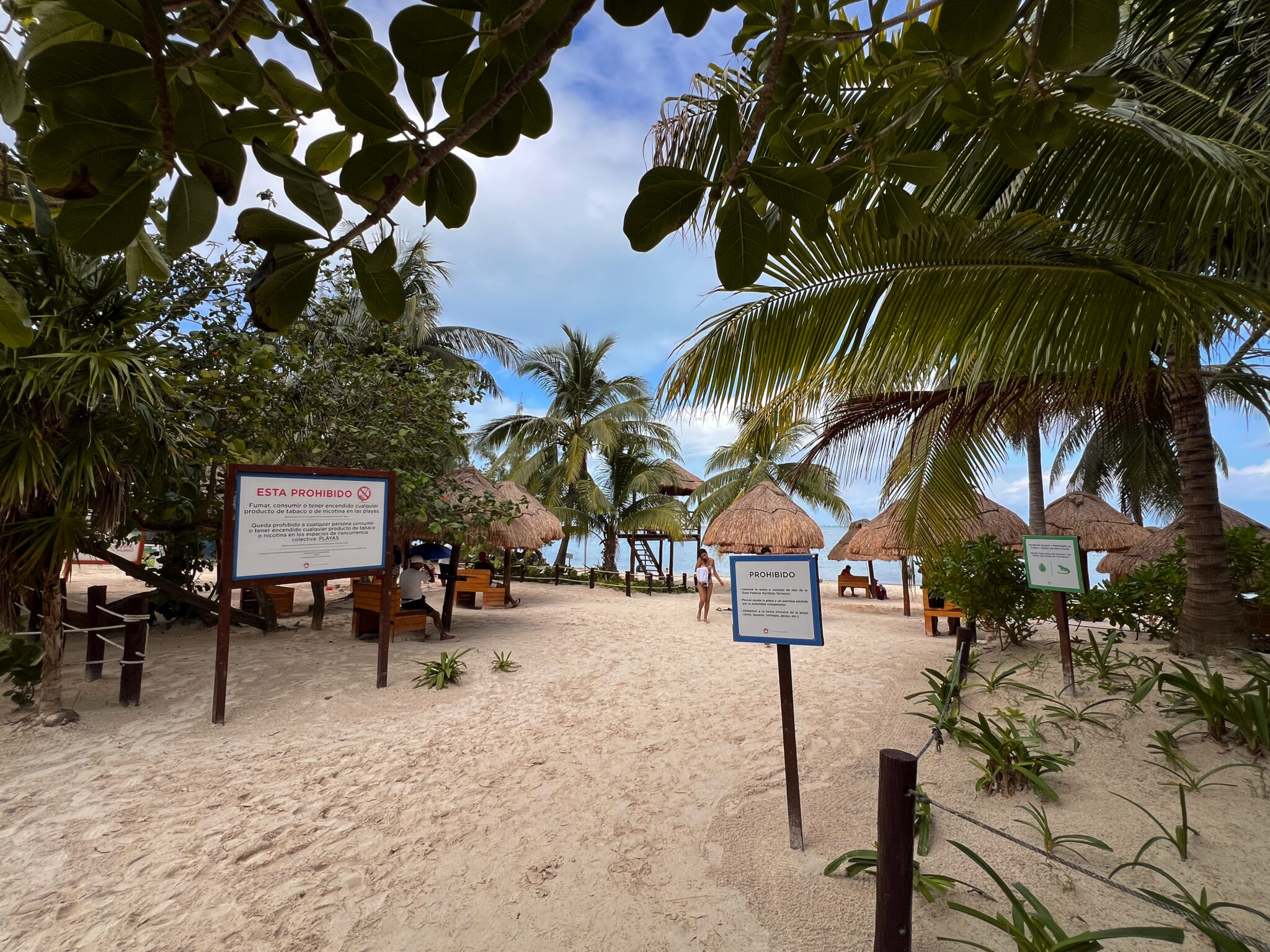 Best Beaches in Cancun—Hotel Zone Edition