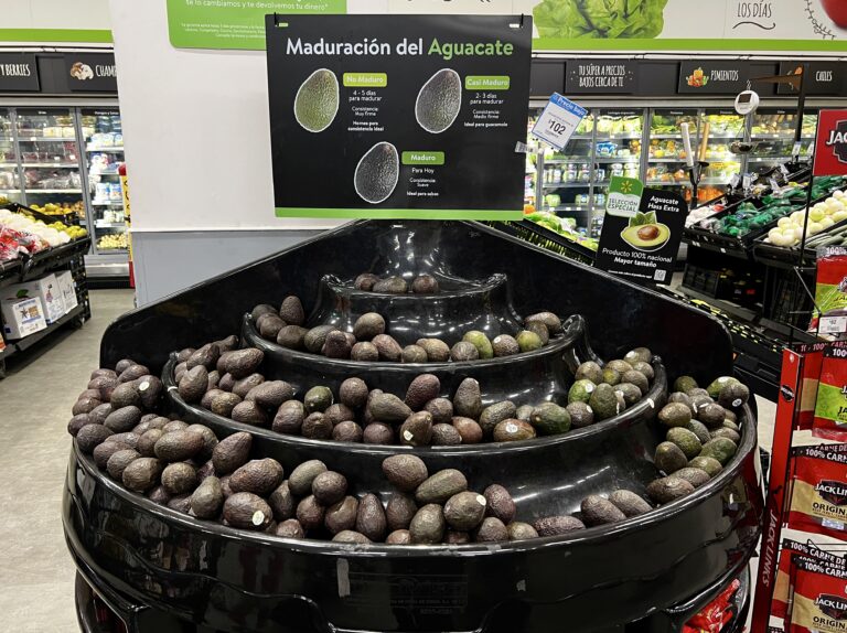 The Mexican Avocado: From Humble Beginnings to World Domination